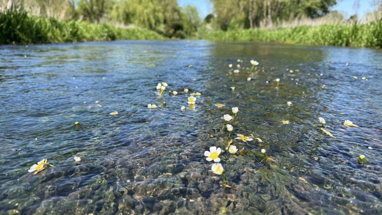 Collaborating on chalk streams in the Beane - CastCo